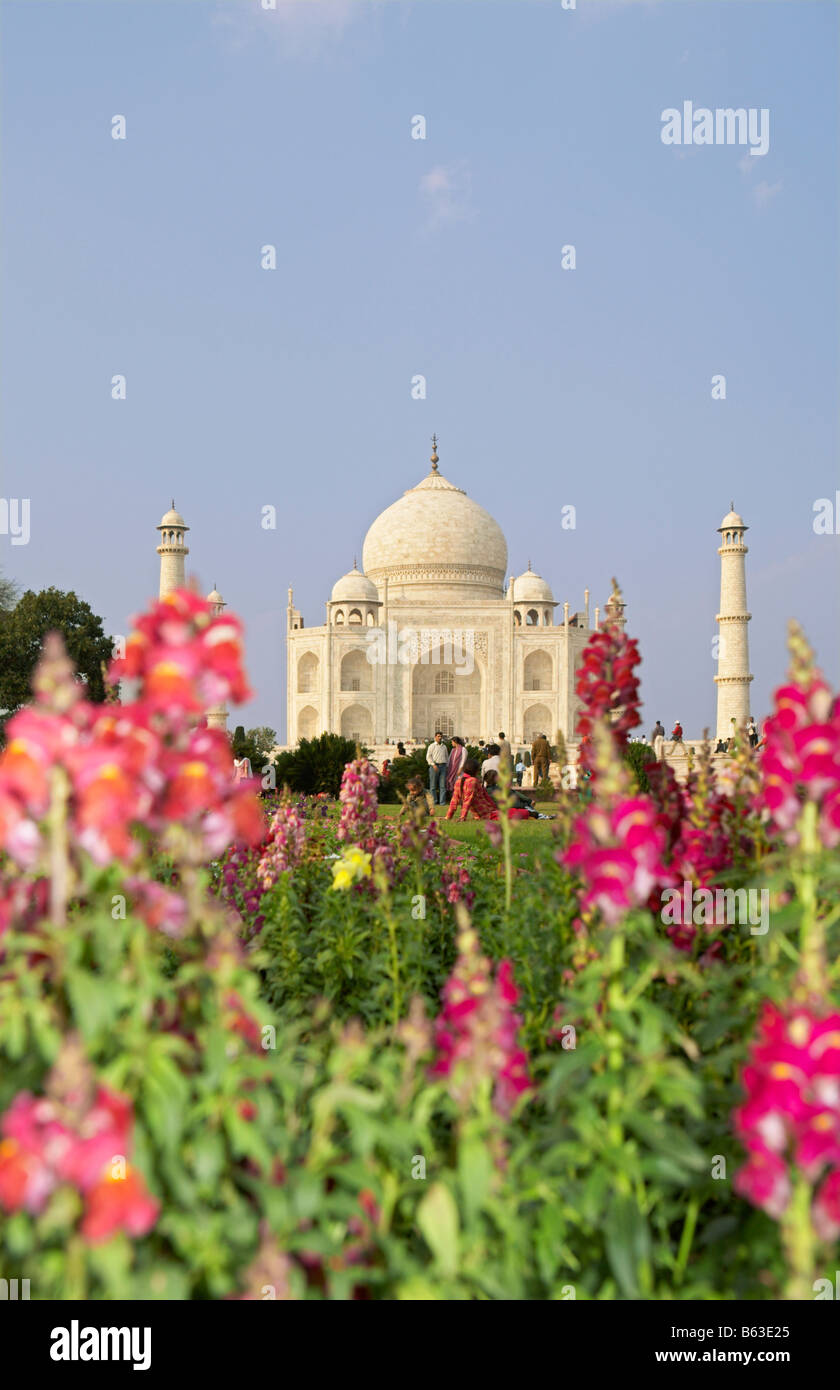 TAJ MAHAL FLOWERS Stock Photo - Alamy