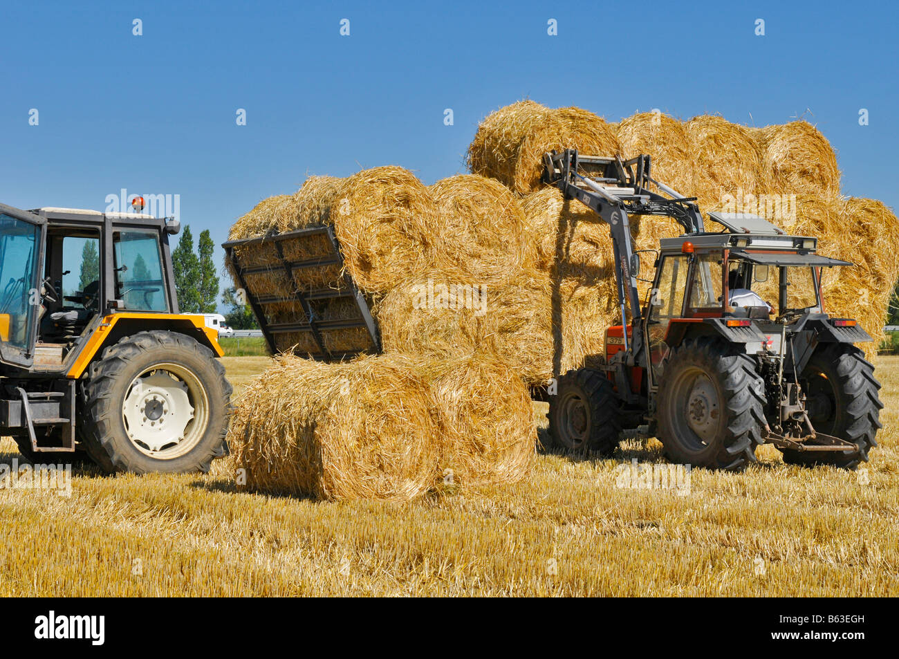 Harvest. Tractor loading round straw bales on a trailer Stock Photo - Alamy