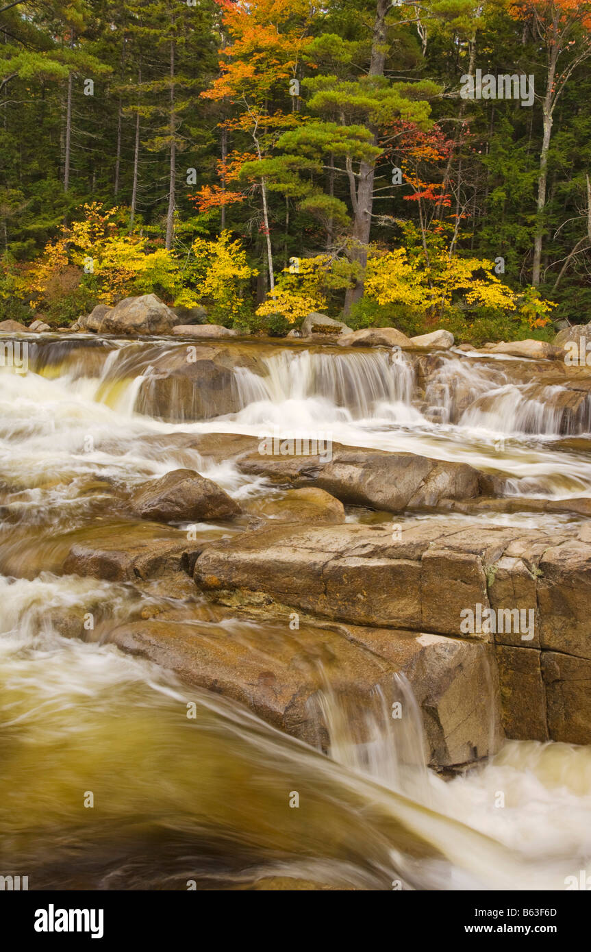 Autumn colours Lower falls Swift River White Mountains New Hampshire ...
