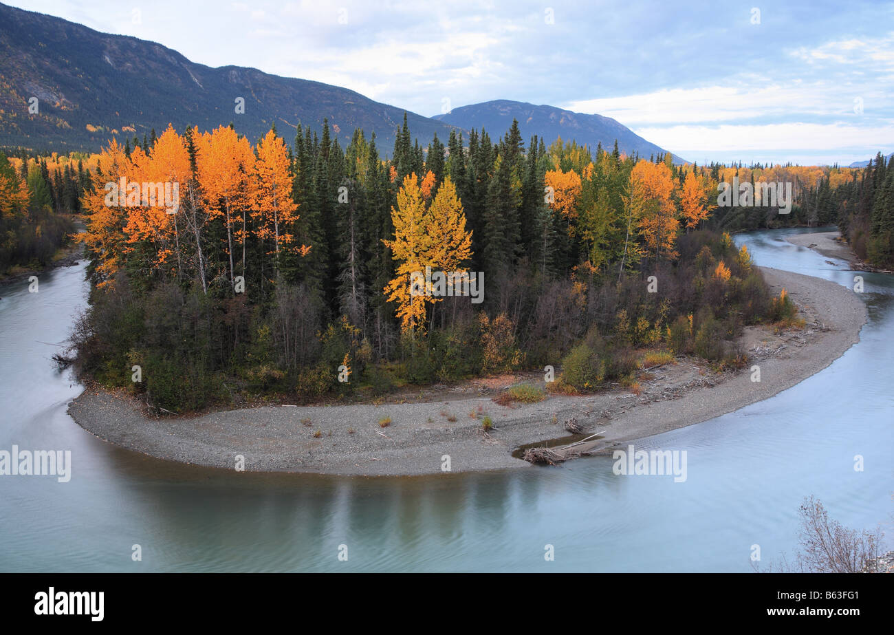 Autumn colors along Northern British Columbia river Stock Photo - Alamy