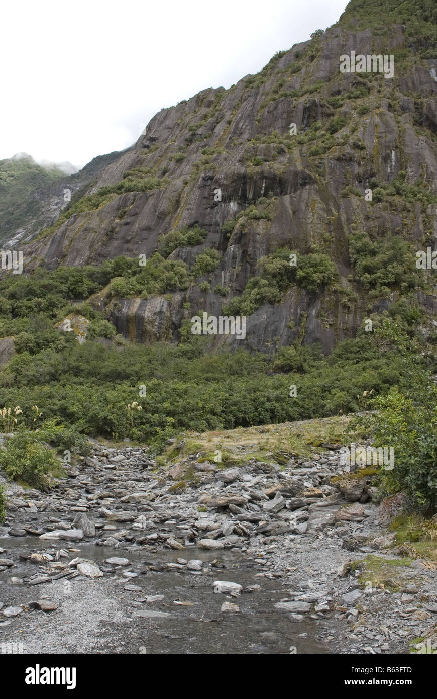 Example of gacial erosion of ancient bedrock by the retreating Franz ...