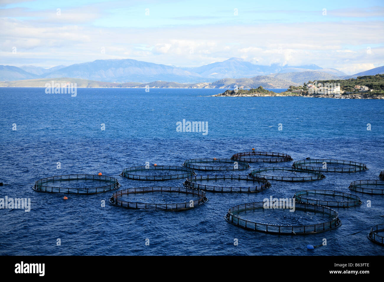 Fish Farm at Corfu Stock Photo - Alamy