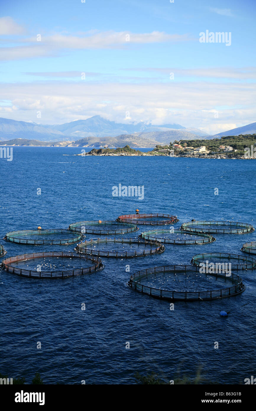 Corfu greece hi-res stock photography and images - Alamy