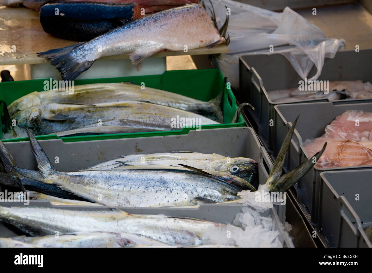Dolphin fish in a crate at a fishstall in the open air food market in ...