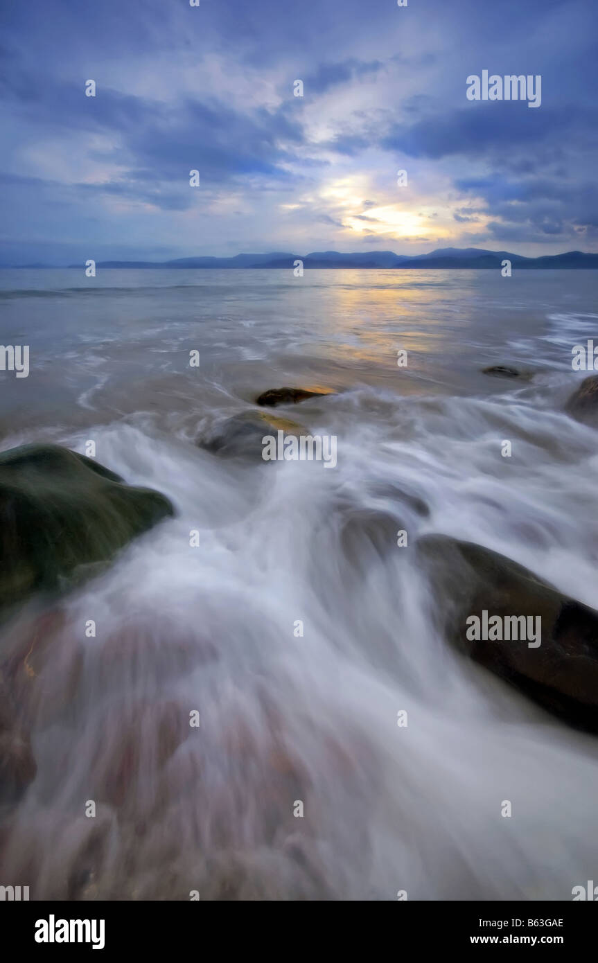 Translucent effect hi-res stock photography and images - Alamy