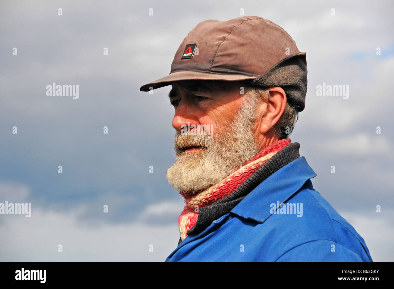 Profile portrait bearded man hi-res stock photography and images - Alamy