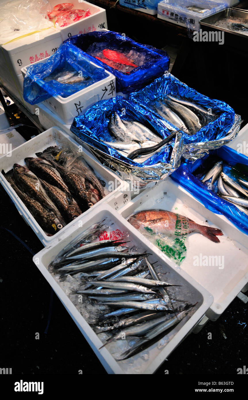 Fresh fish on sale at Tsukiji fish market, Tokyo, Japan Stock Photo - Alamy