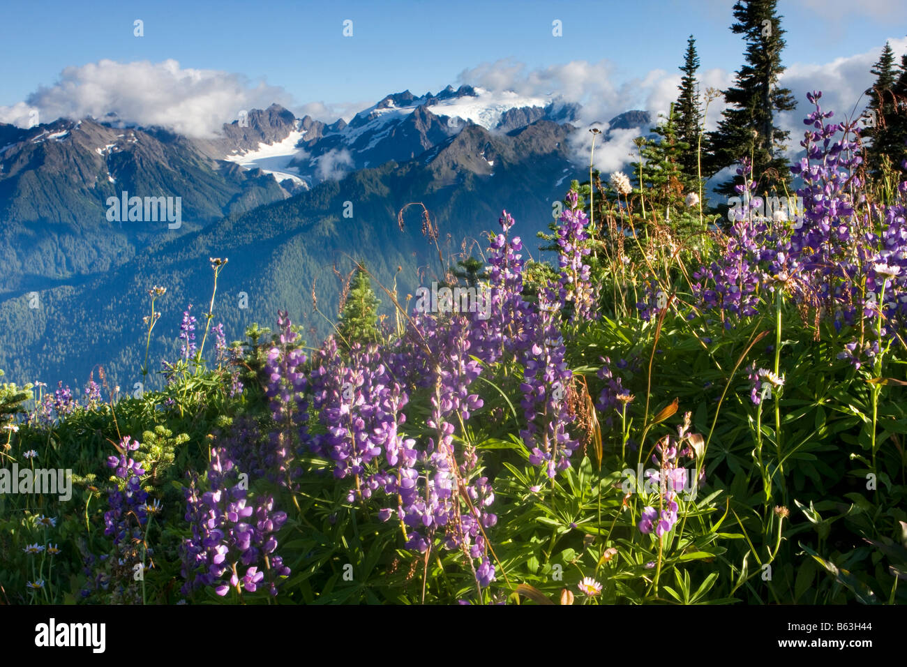 Mount olympus washington hi-res stock photography and images - Alamy