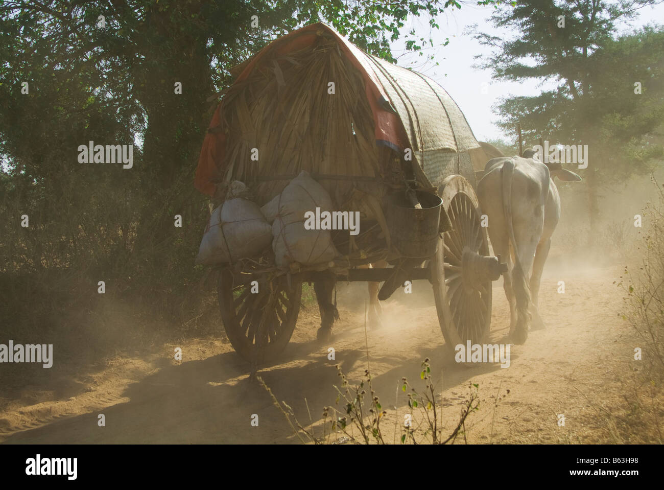 Ox carriage on a dustry road Bagan Pagan Myanmar Burma Stock Photo - Alamy