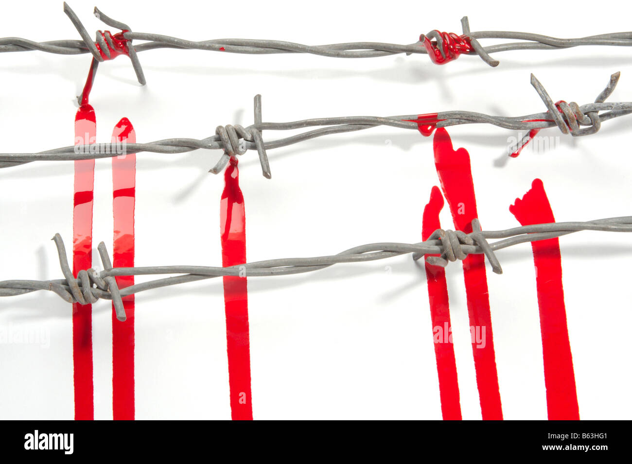 The sharp barbed wire sometimes happens by reliable protection Stock ...