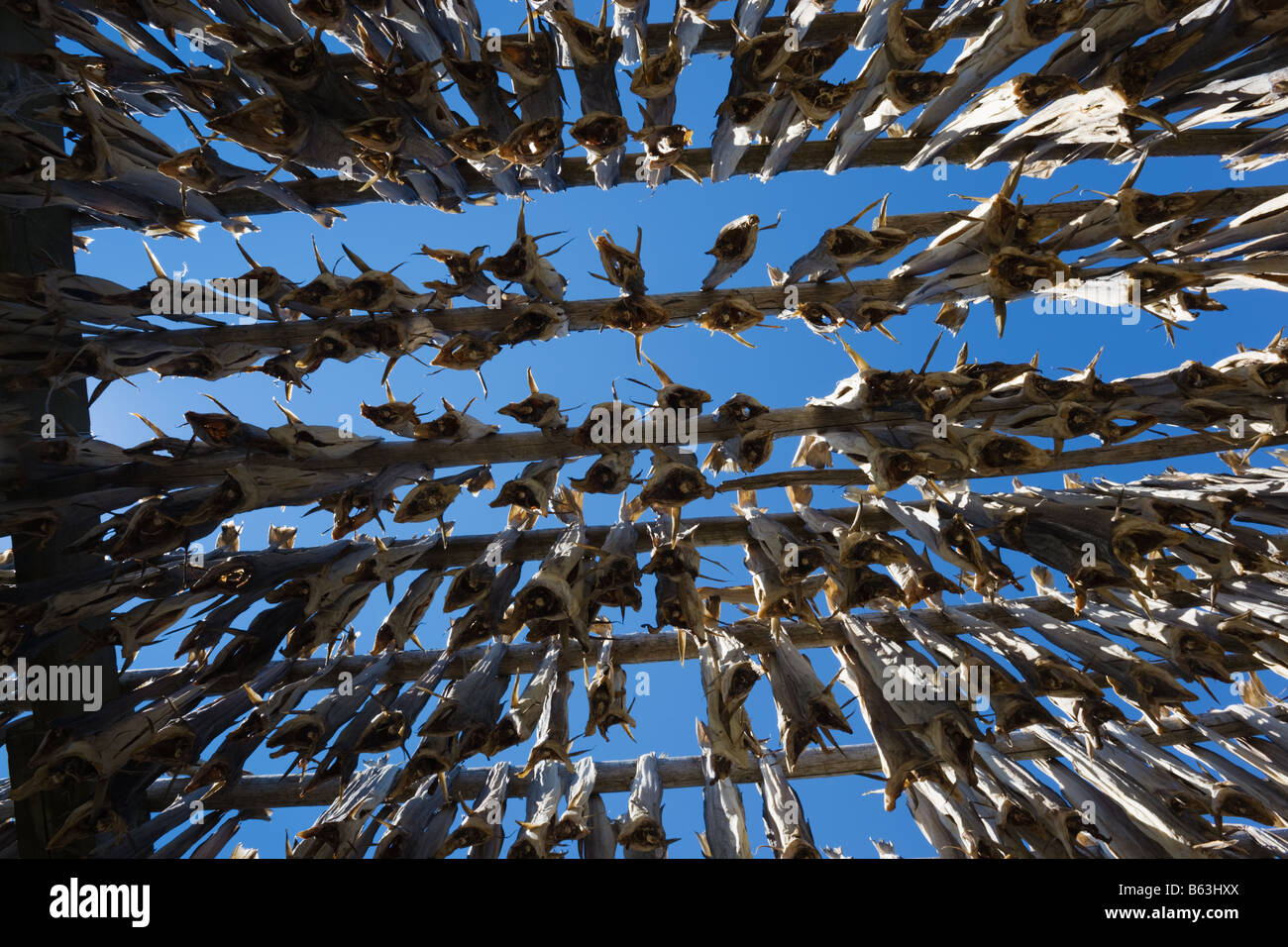 Fish drying rack hi-res stock photography and images - Alamy