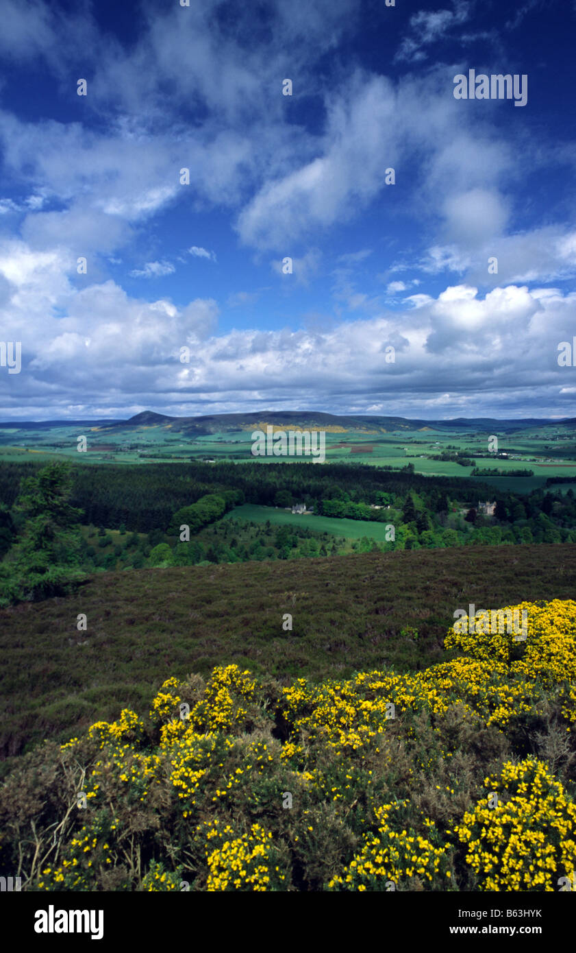Strathbogie hi-res stock photography and images - Alamy