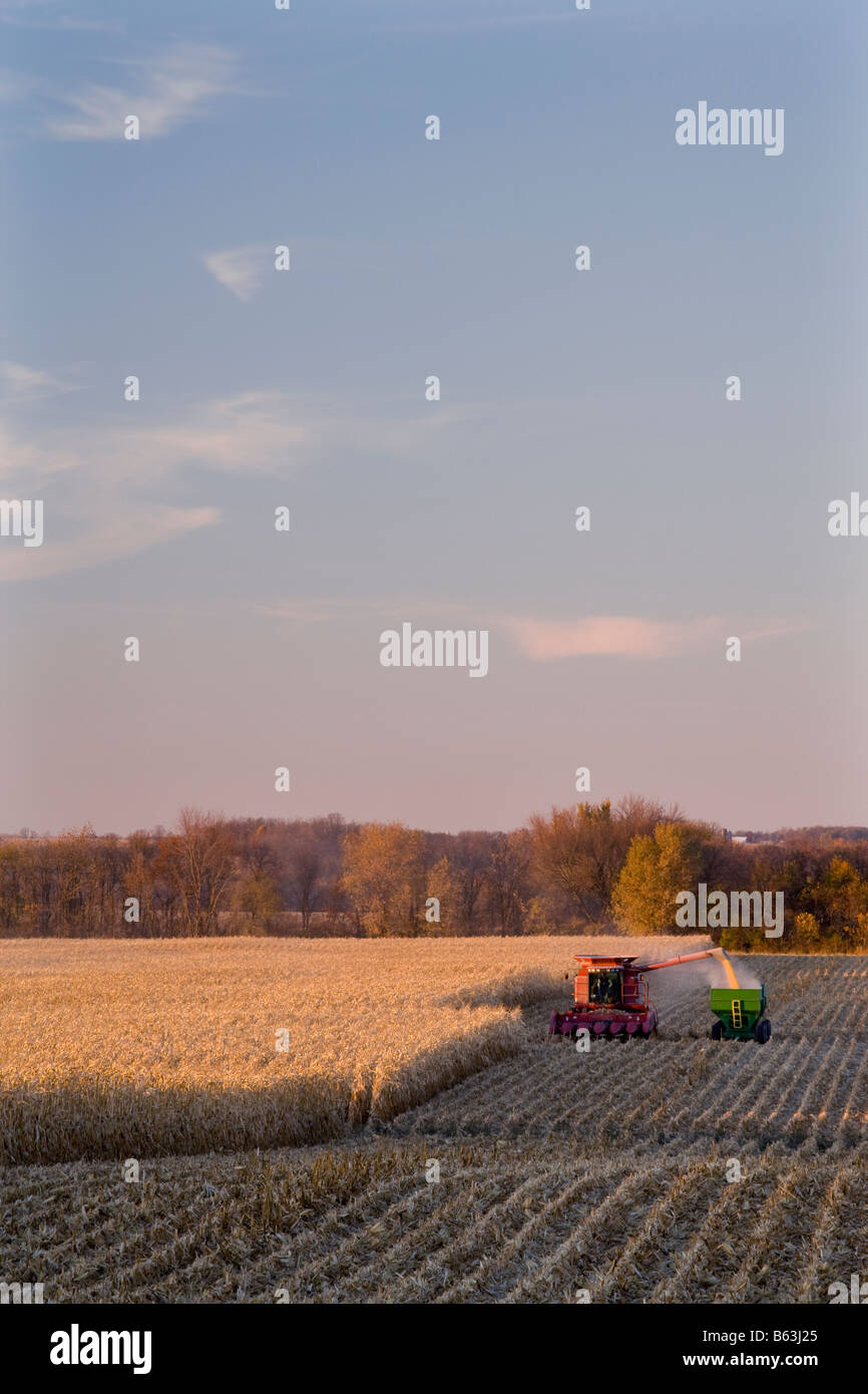 Harvesting the field hi-res stock photography and images - Alamy