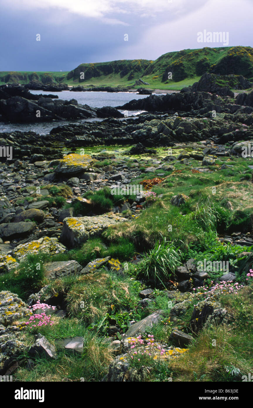 Scotland moray coast hi-res stock photography and images - Alamy