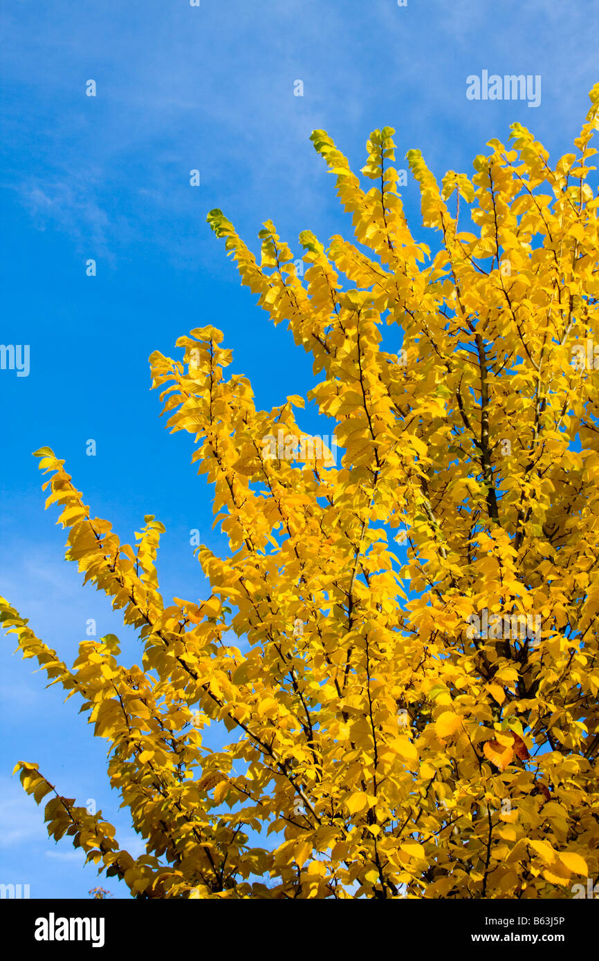 Yorkshire colours hi-res stock photography and images - Alamy