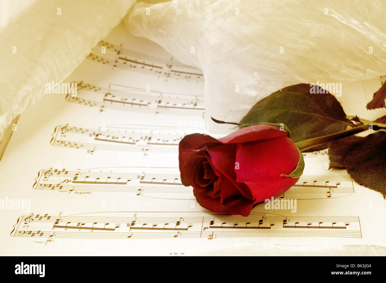 rose on a musical sheet Stock Photo - Alamy
