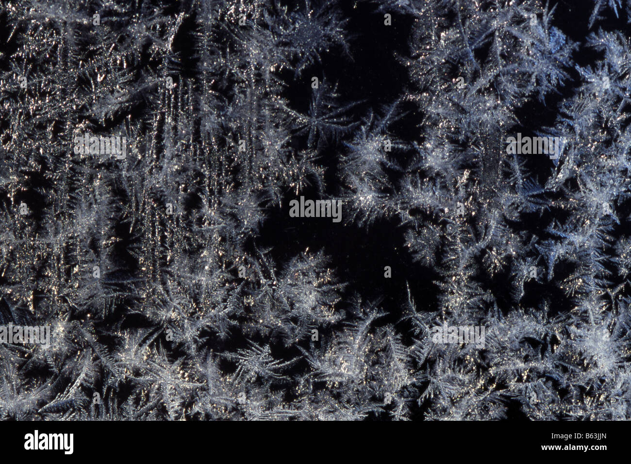 Horizontal frost hi-res stock photography and images - Alamy