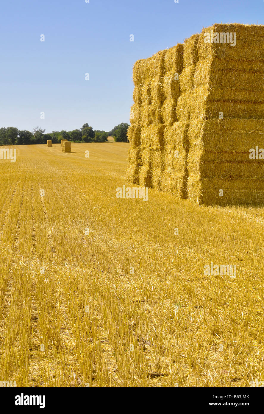 Bundles of straw hi-res stock photography and images - Alamy