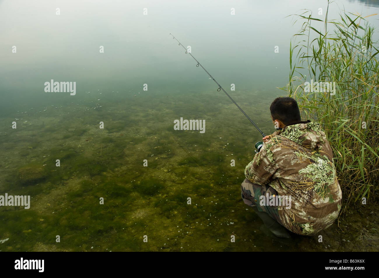Mimetic fish hi-res stock photography and images - Alamy