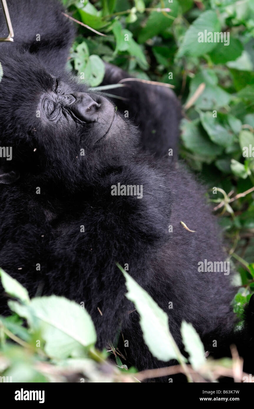 Rwand hi-res stock photography and images - Alamy