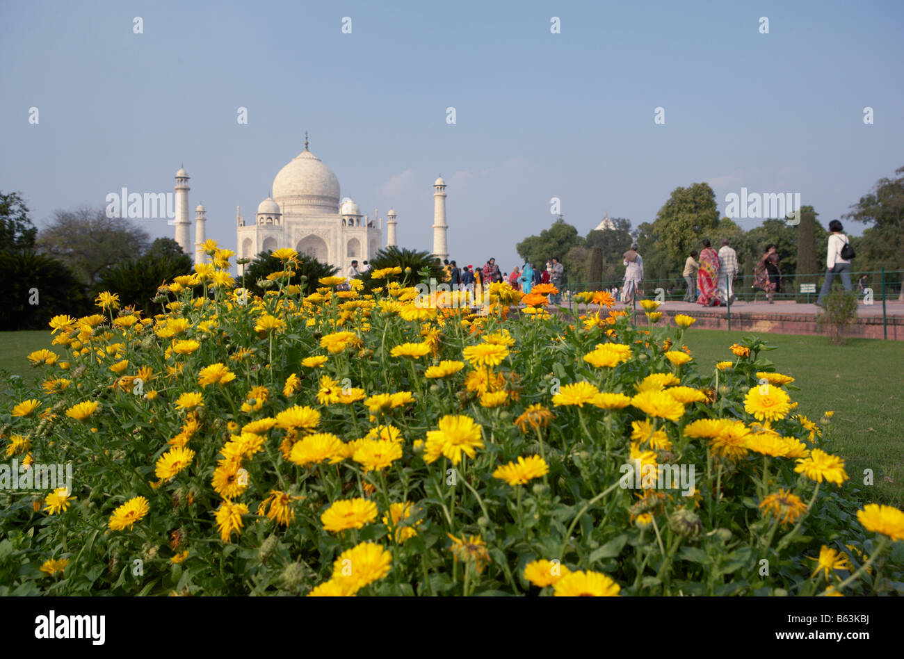 Taj Mahal Flowers High Resolution Stock Photography and Images - Alamy