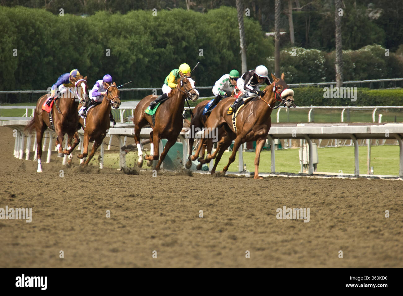 Santa anita horse track hi-res stock photography and images - Alamy
