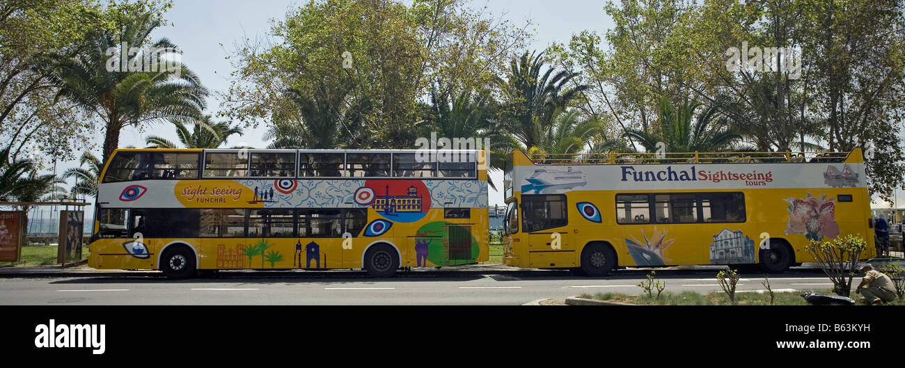 Two sightseeing Tourist buses in Madeira s Praca do Municipio Funchal ...