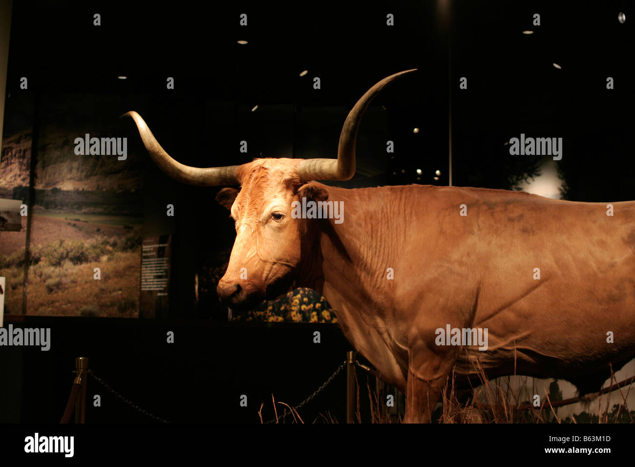 Westward expansion hi-res stock photography and images - Alamy