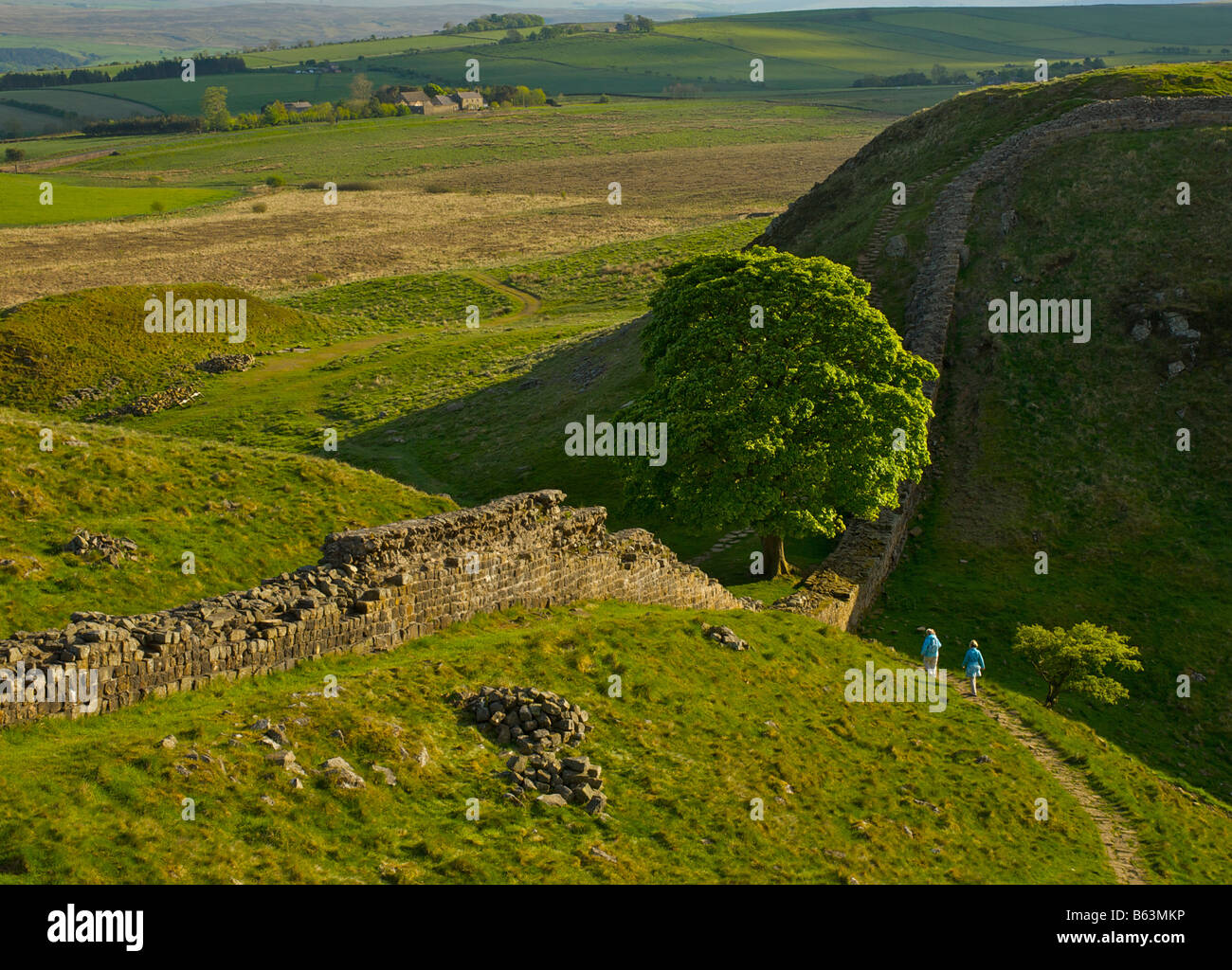 Two female walkers crossing Hadrian's wall at Sycamore Gap, Steel Rigg ...