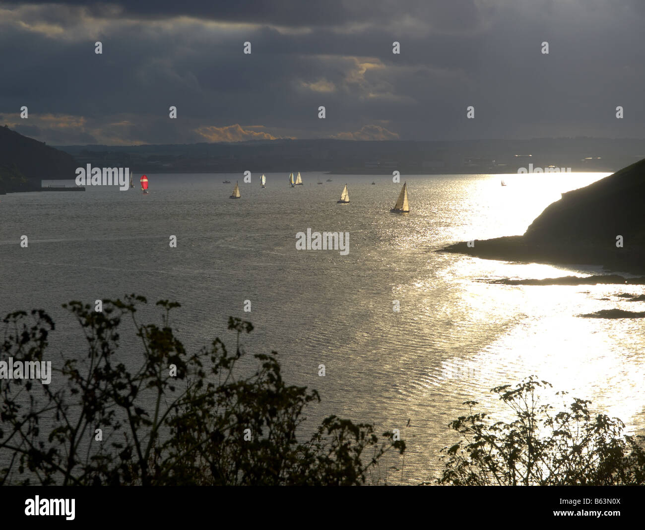 sailboats at White Bay Co Cork Ireland Stock Photo - Alamy