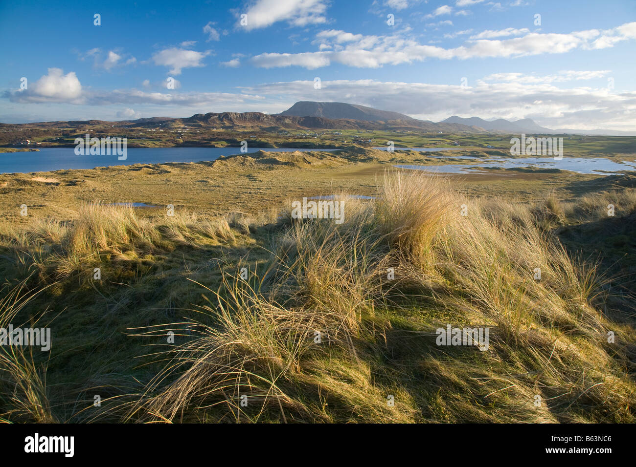 View of Muckish Mountain from the sand dunes of Horn Head. Near ...