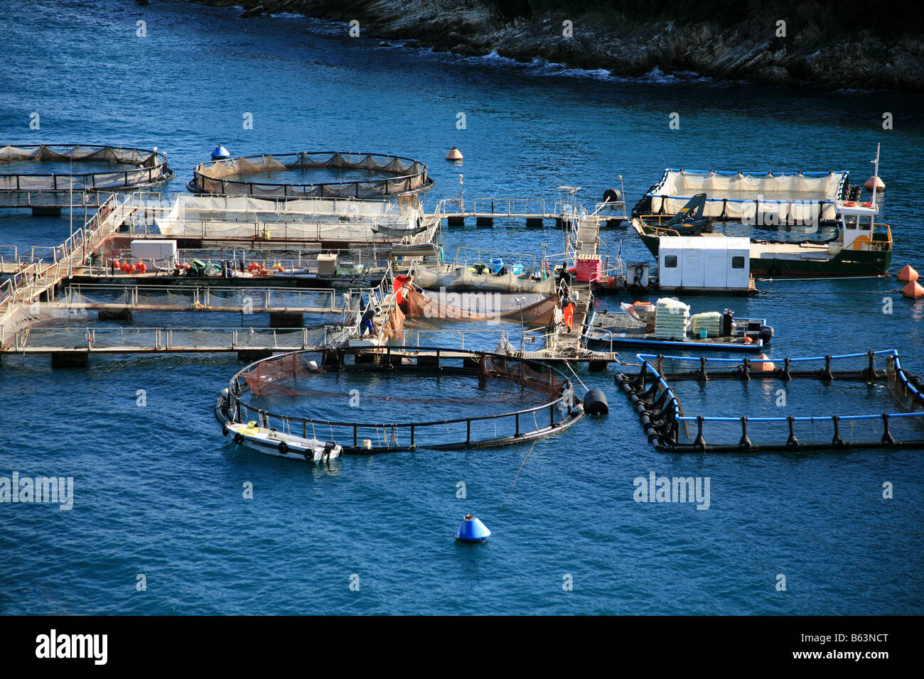 Fish pontoons hi-res stock photography and images - Alamy