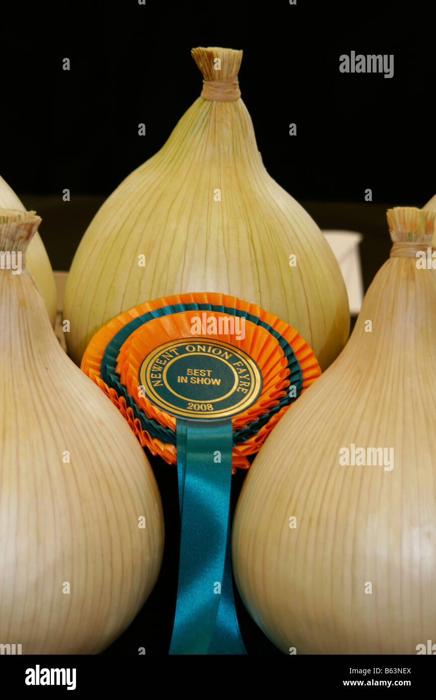 Prize Winning Onions High Resolution Stock Photography and Images - Alamy