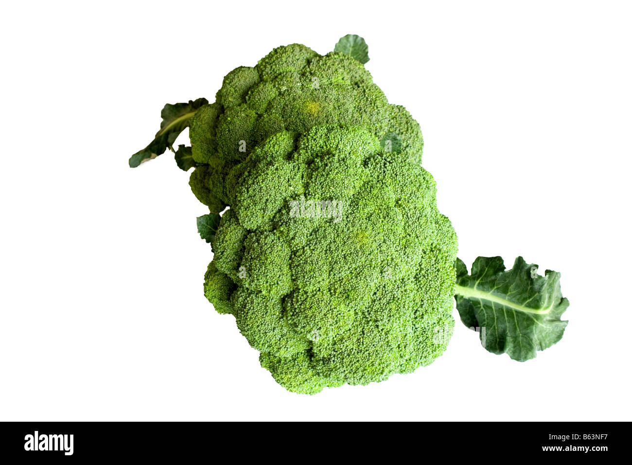Two broccoli heads Stock Photo - Alamy