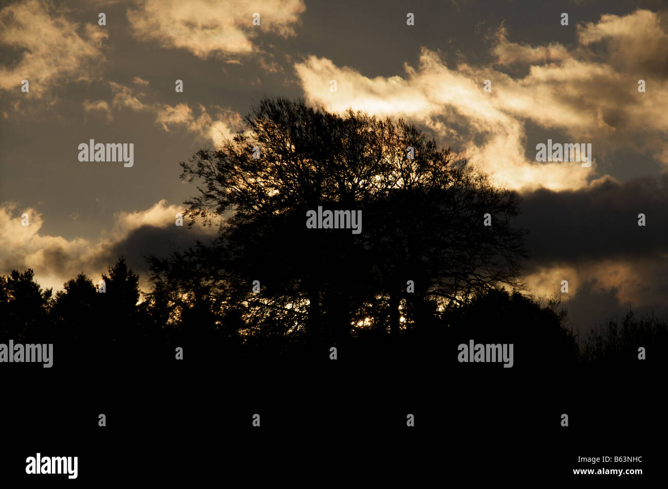 A heavy stormsky over trees in Ripon Stock Photo - Alamy