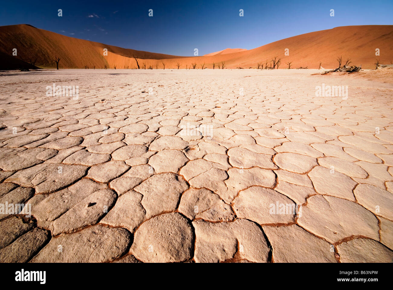 Dooievlei in Namib desert Stock Photo - Alamy