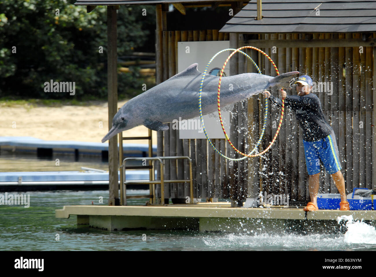 Sentosa Island Underwater World And Dolphin Lagoon