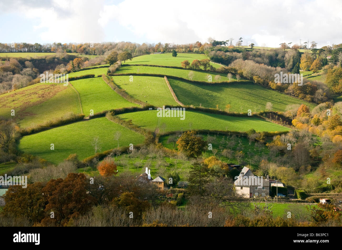 The rolling hills of the Devon countryside Stock Photo - Alamy