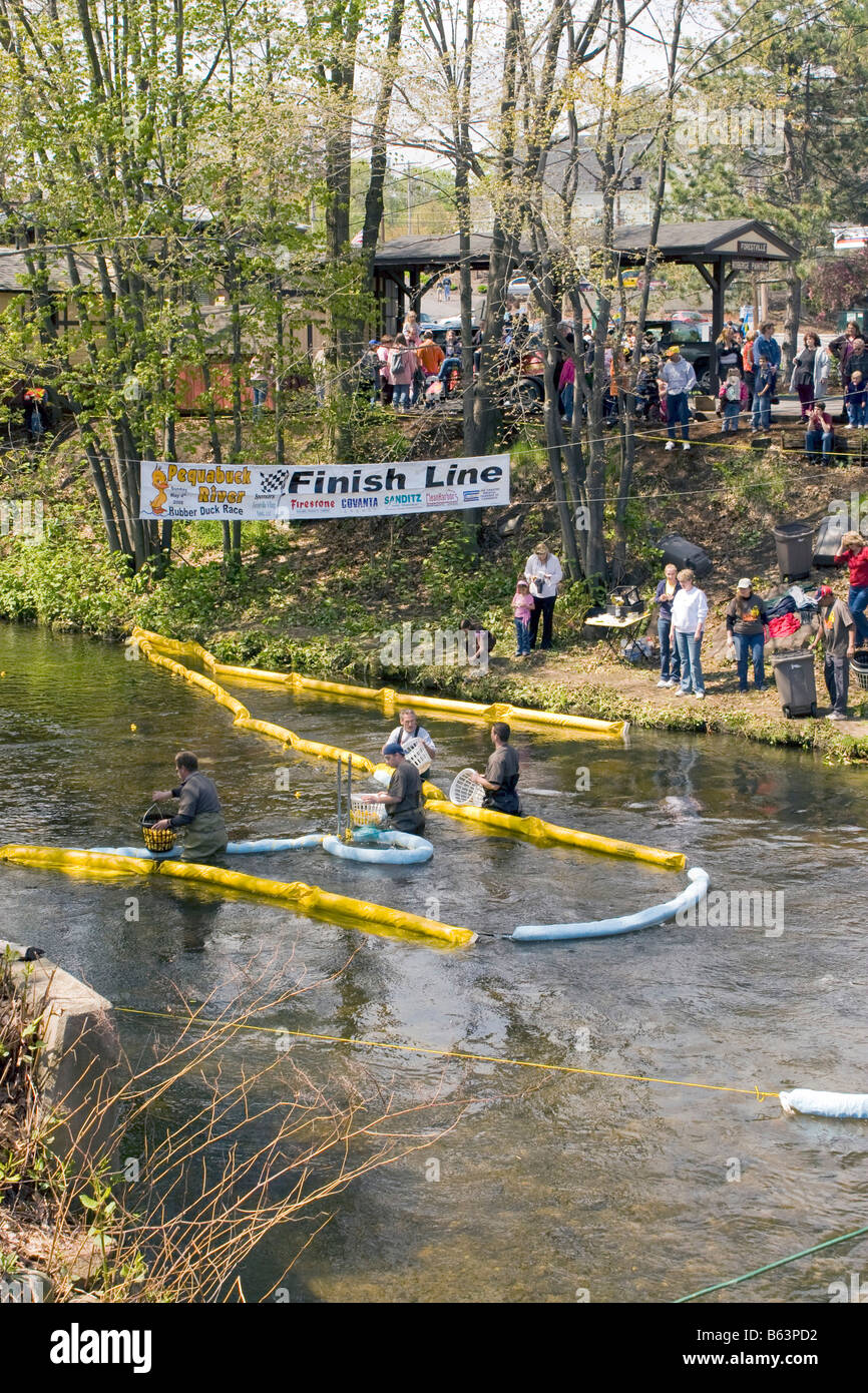 Racing ducks hi-res stock photography and images - Alamy