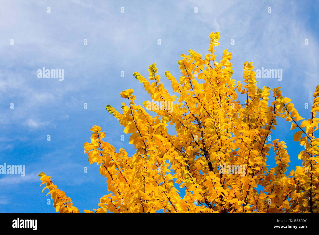 Yorkshire colours hi-res stock photography and images - Alamy