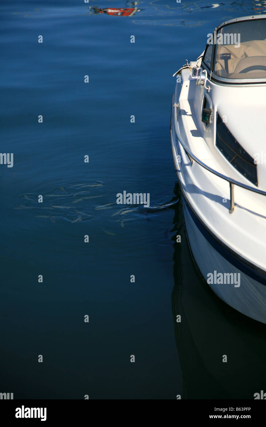 Ionian sea fish hi-res stock photography and images - Alamy