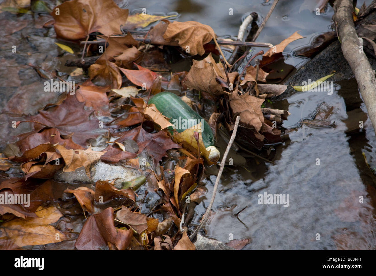 Bottle stuck in river stream Stock Photo - Alamy
