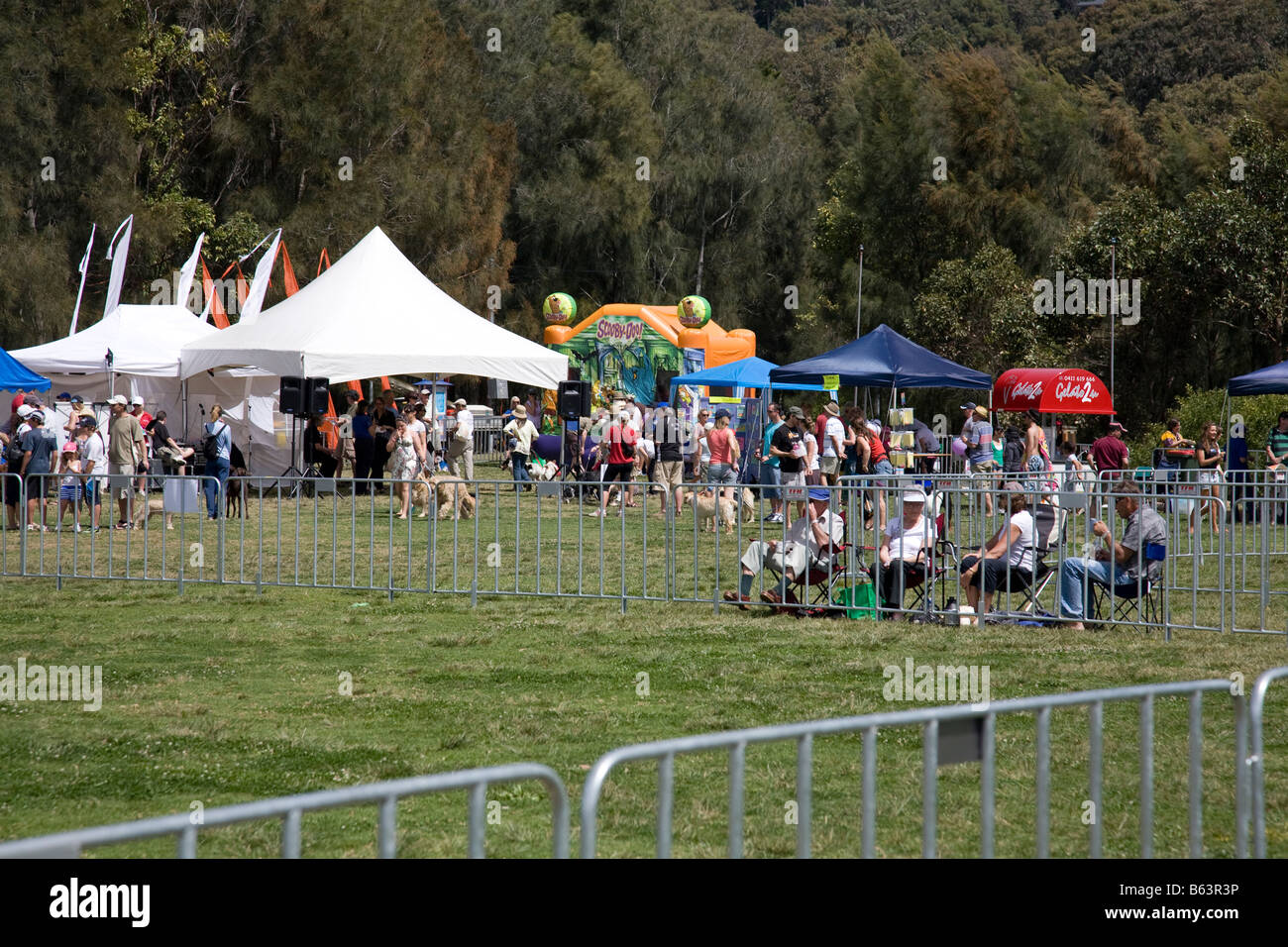 village dog show Stock Photo - Alamy