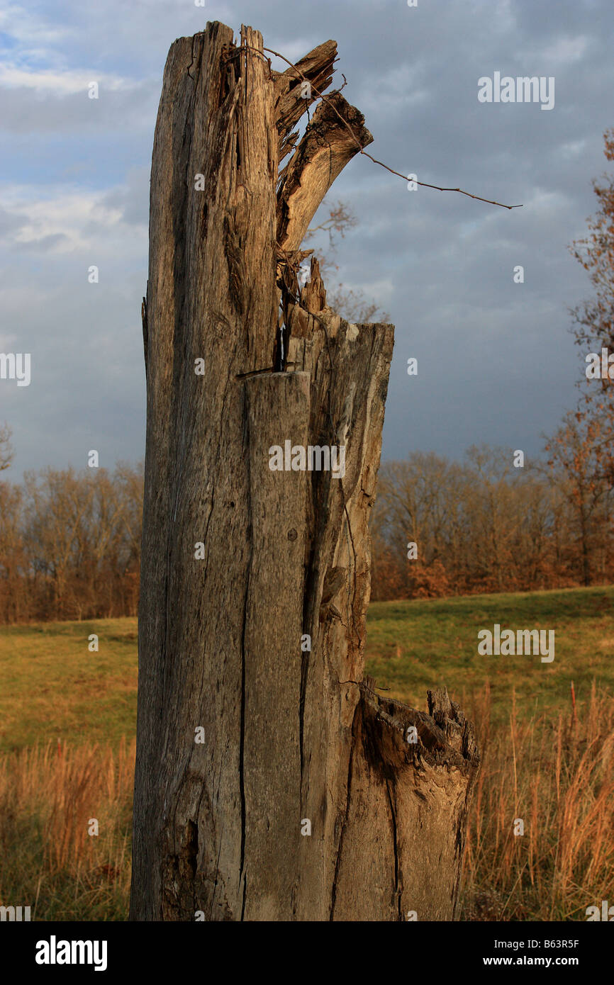 Struck by lightning barren hi-res stock photography and images - Alamy