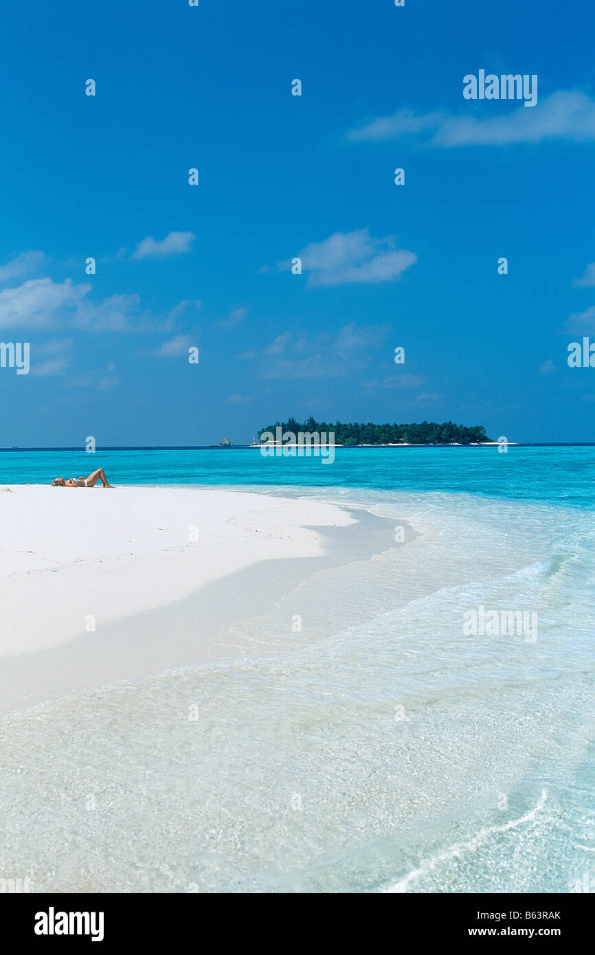 Maldive island banyan tree vabbinfaru hi-res stock photography and ...