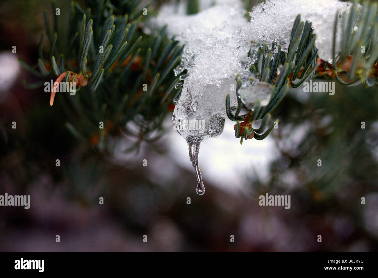 Jesus ice hi-res stock photography and images - Alamy