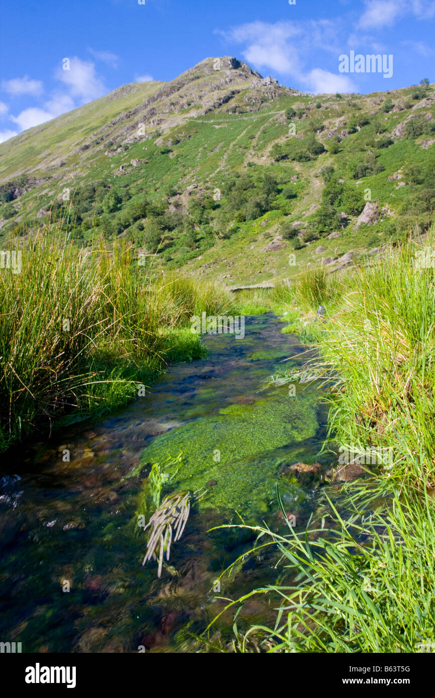 Borrowdale lake district hi-res stock photography and images - Alamy