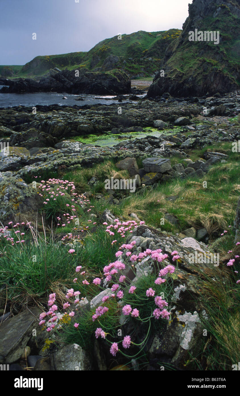 Rugged unspoilt coastline near Cullen with rocky outcrops and grassy ...