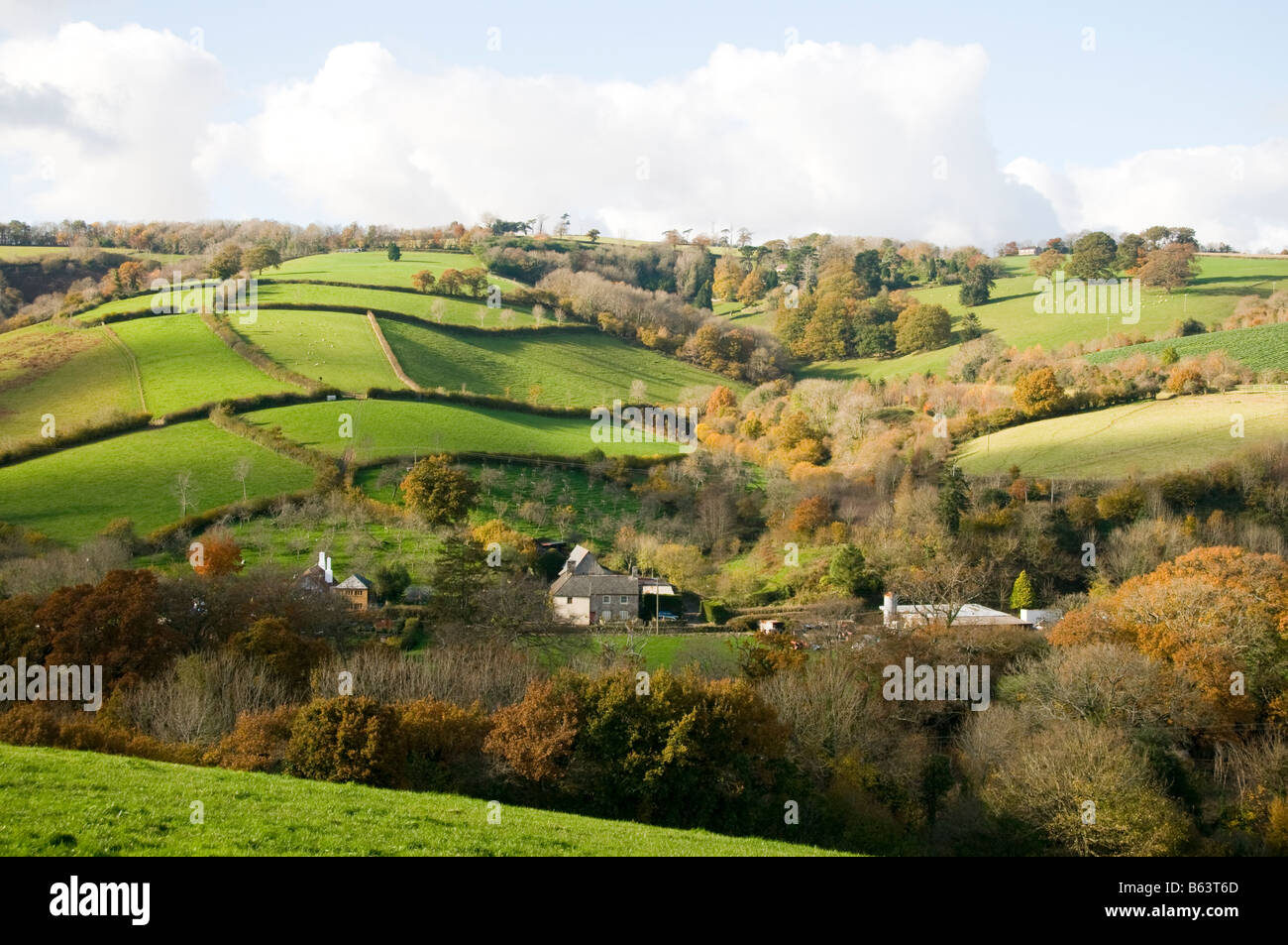 The rolling hills of the Devon countryside Stock Photo - Alamy