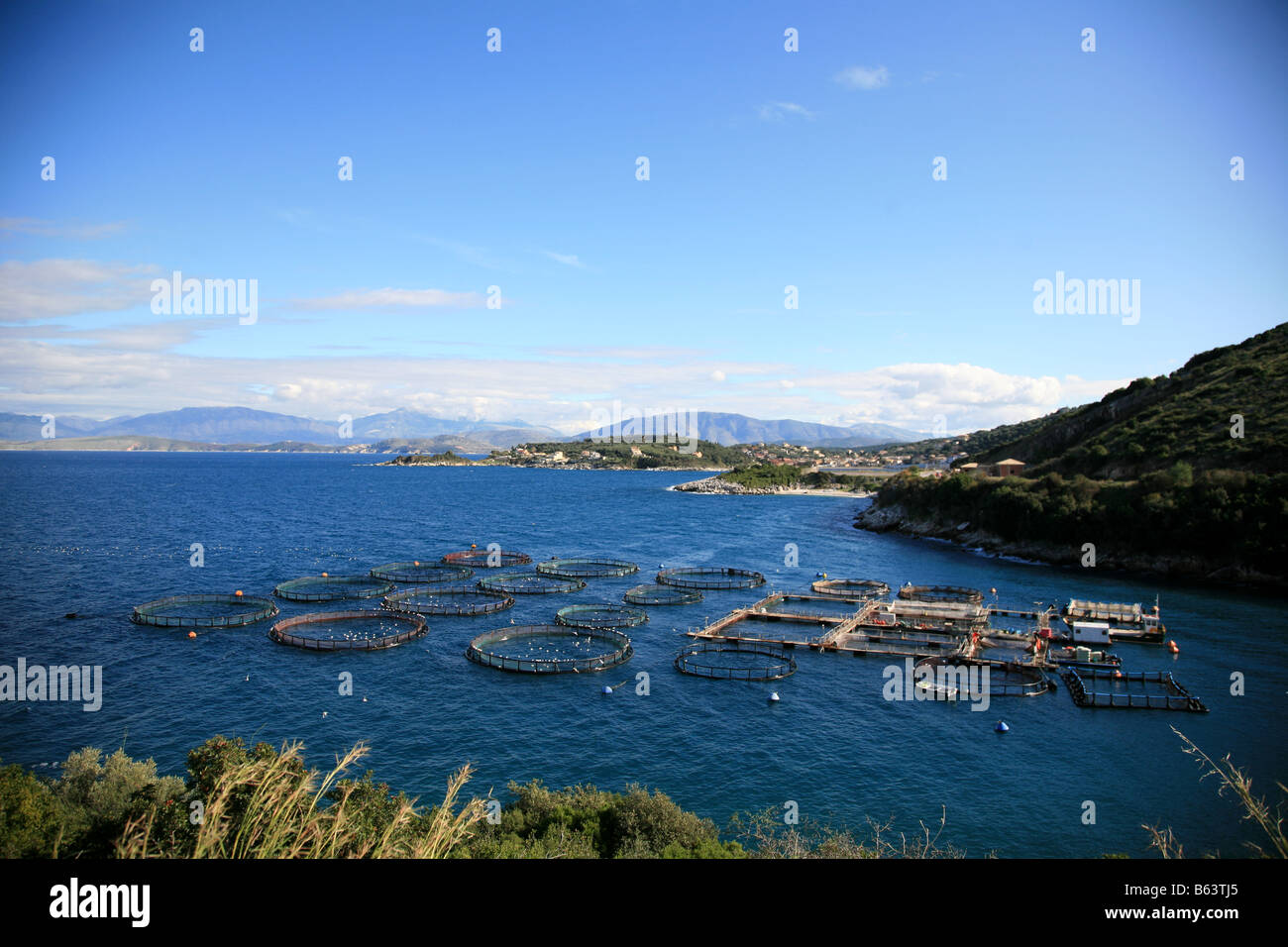 Fish Farm in the Bay Stock Photo - Alamy